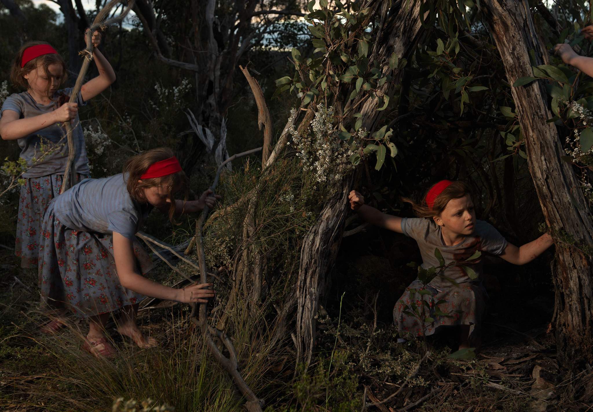 My Grandmother’s Lingo — Distil Immersive